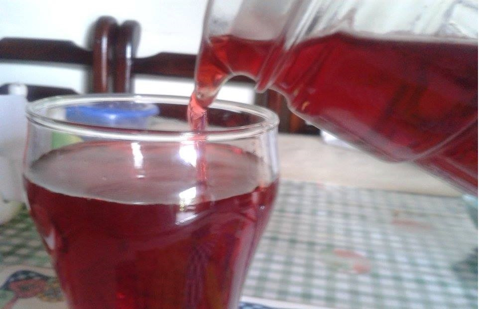 Escancel Propiedades Beneficios Usos y Contraindicaciones