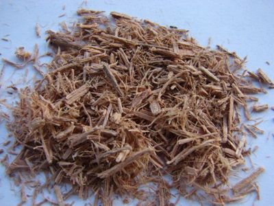 Clavo huasca Propiedades Beneficios Usos y Contraindicaciones